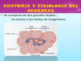 Insulina, glucagon y diabetes mellitus | PPTX