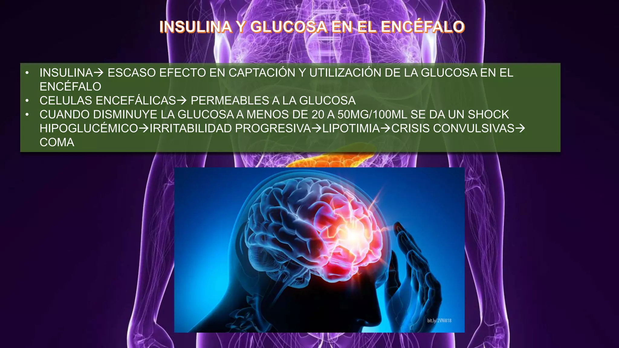 Insulina glucagon y dm | PPT