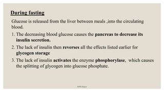 Insulin secretion and it's role .pptx