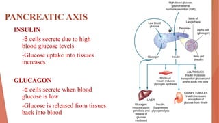 Insulin and antidiabetics | PPTX