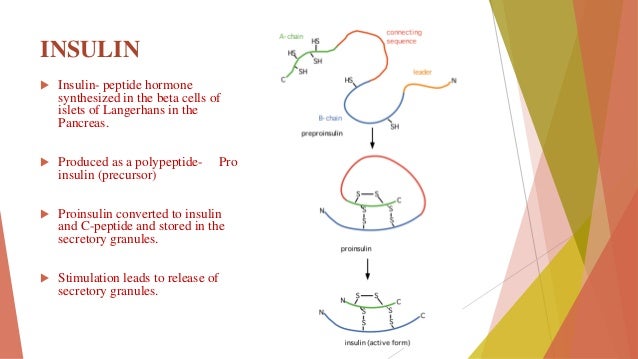 Insulin and antidiabetics