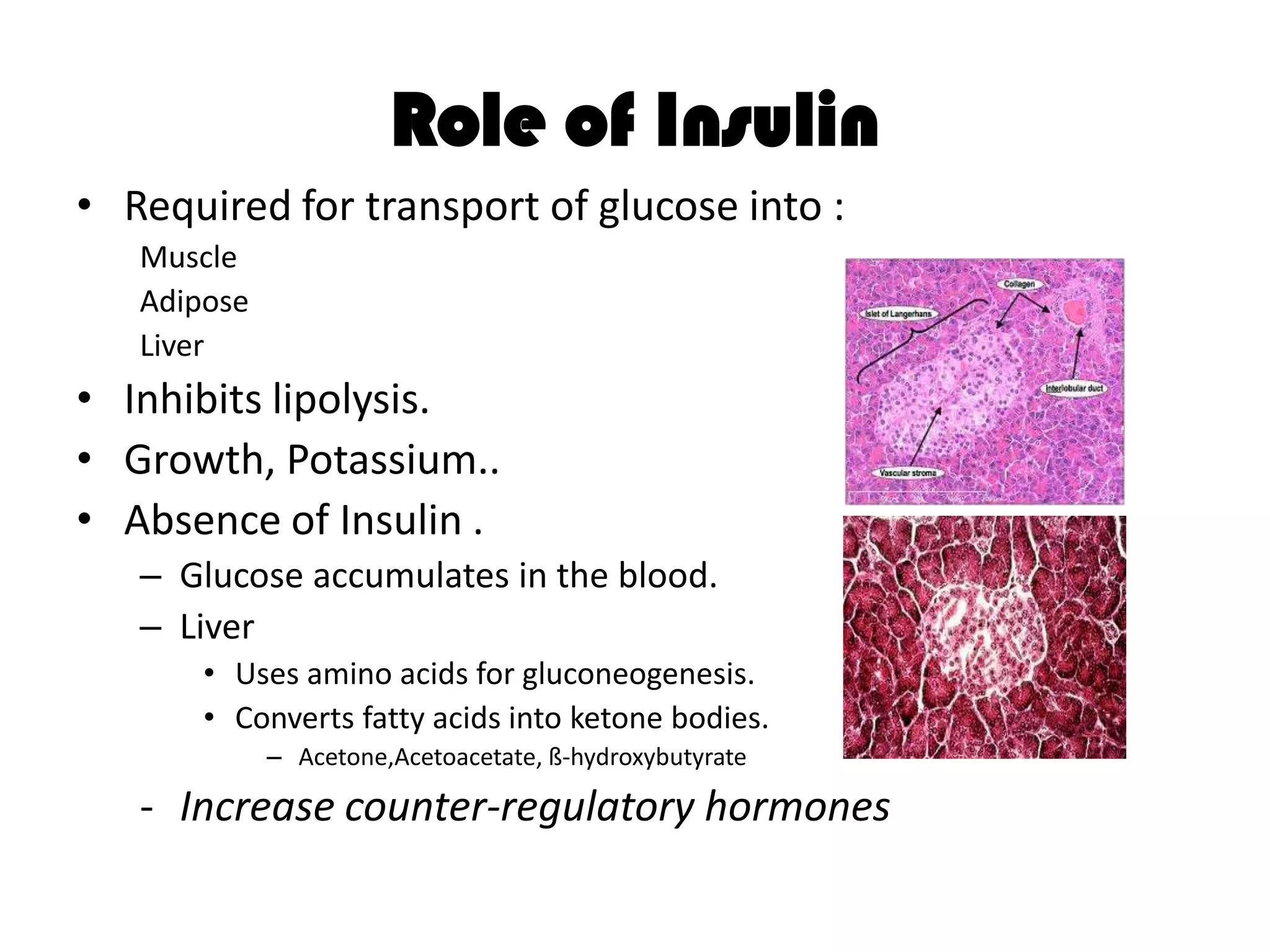 Insulin and counterregulatory hormones dka | PPTX