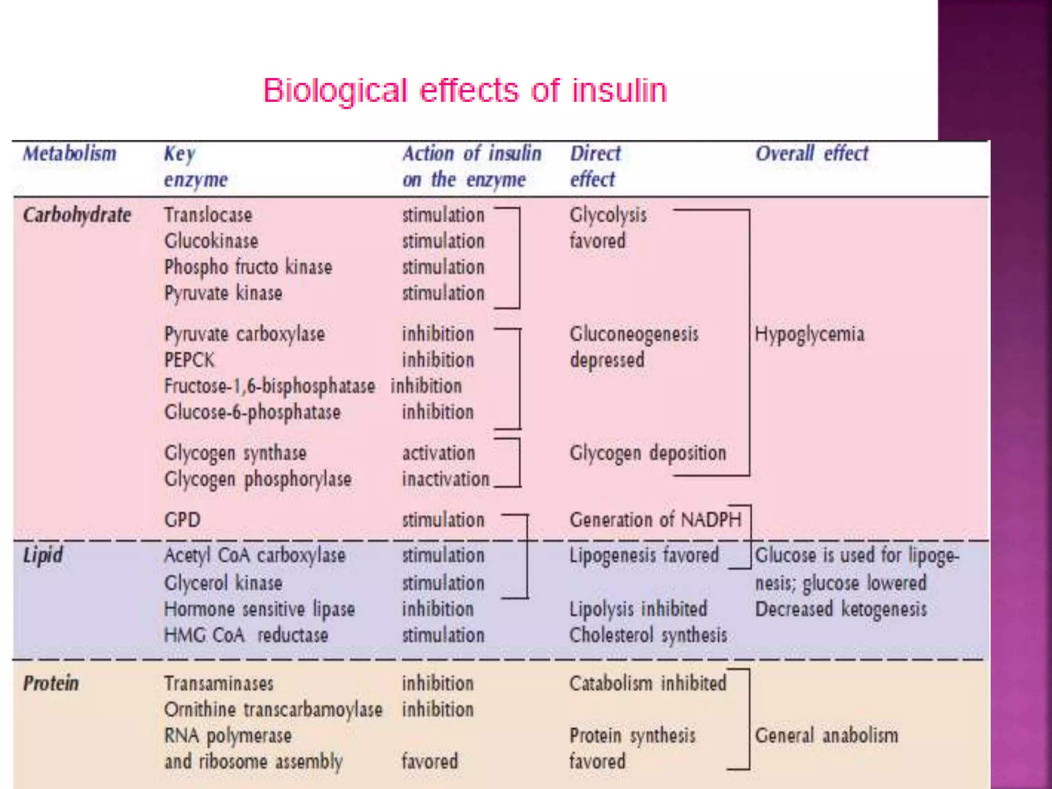 Pancreatic hormones Insulin and glucagon | PPTX