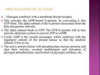 Pancreatic hormones Insulin and glucagon | PPTX