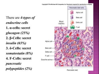 Pancreatic hormones Insulin and glucagon | PPTX