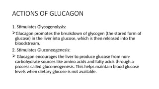 insulin and glucagon physiology presentation | PPTX