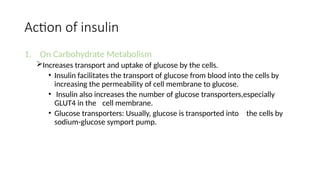 insulin and glucagon physiology presentation | PPTX