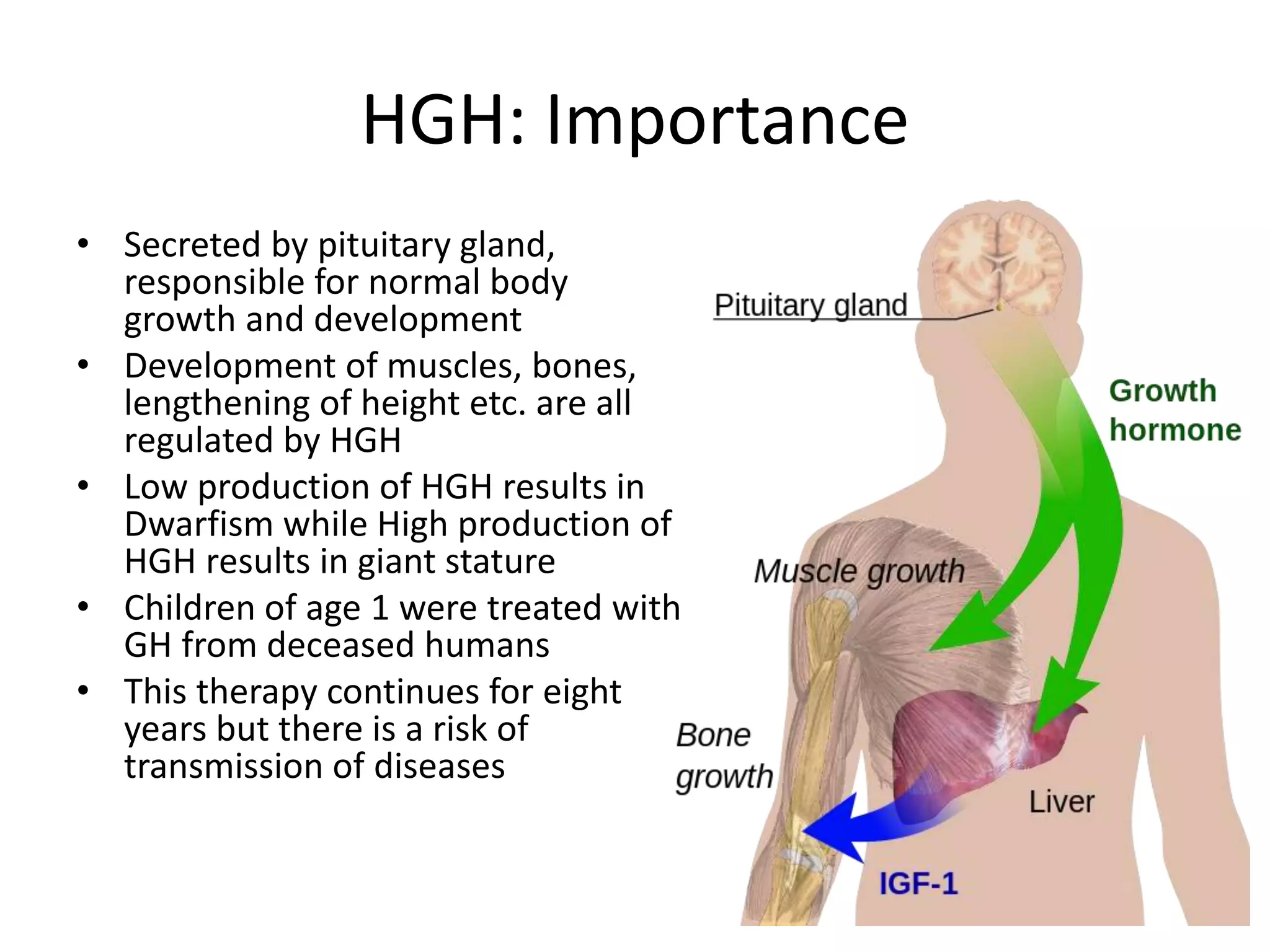 Insulin and HGH production using rDNA technology | PPTX