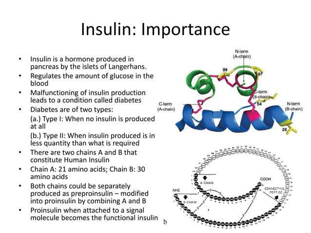 Insulin and HGH production using rDNA technology | PPTX | Endocrine and ...