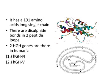 Insulin and HGH production using rDNA technology | PPTX