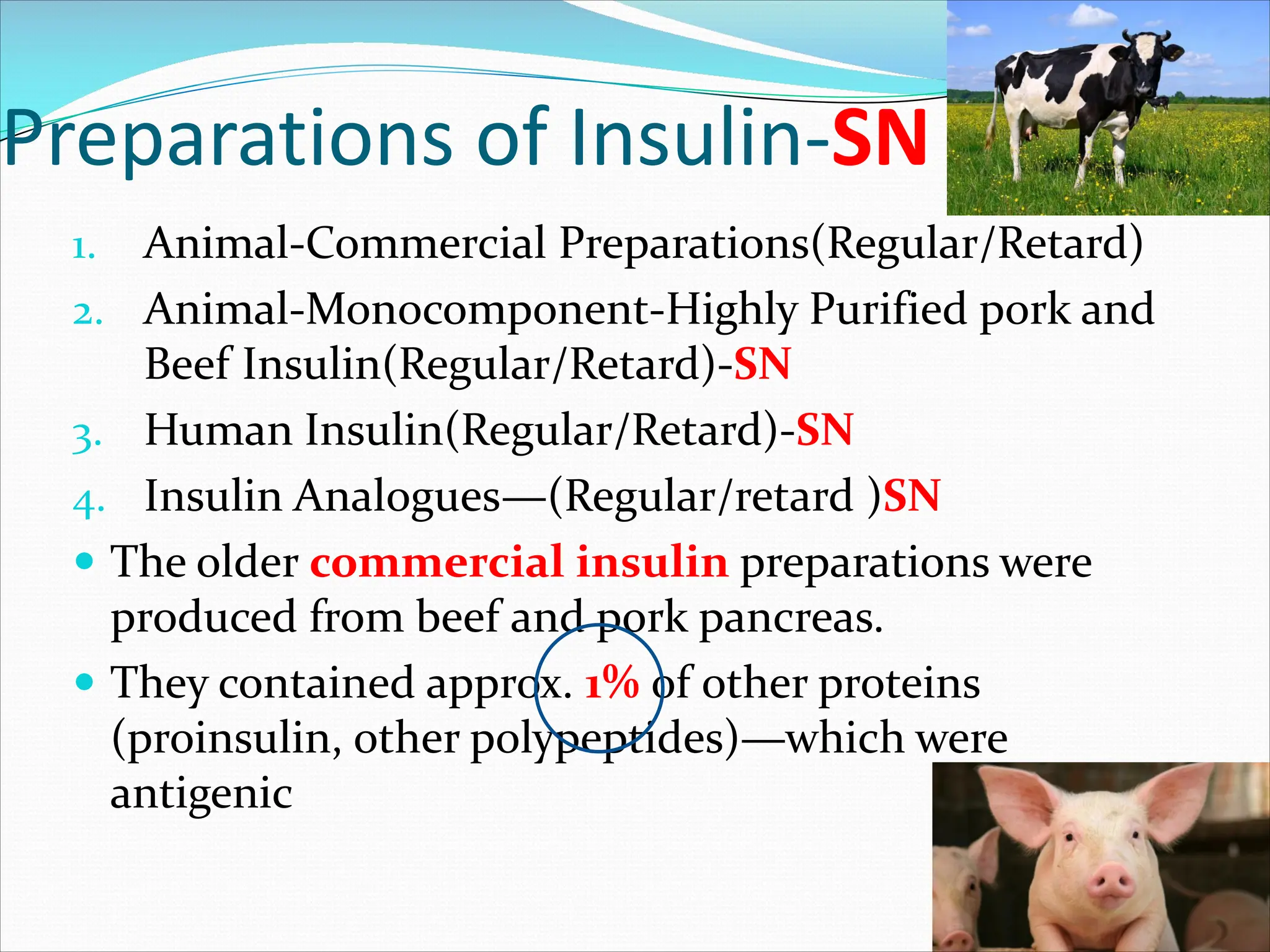 Insulin and Insulin Analogues -detailed content | PDF