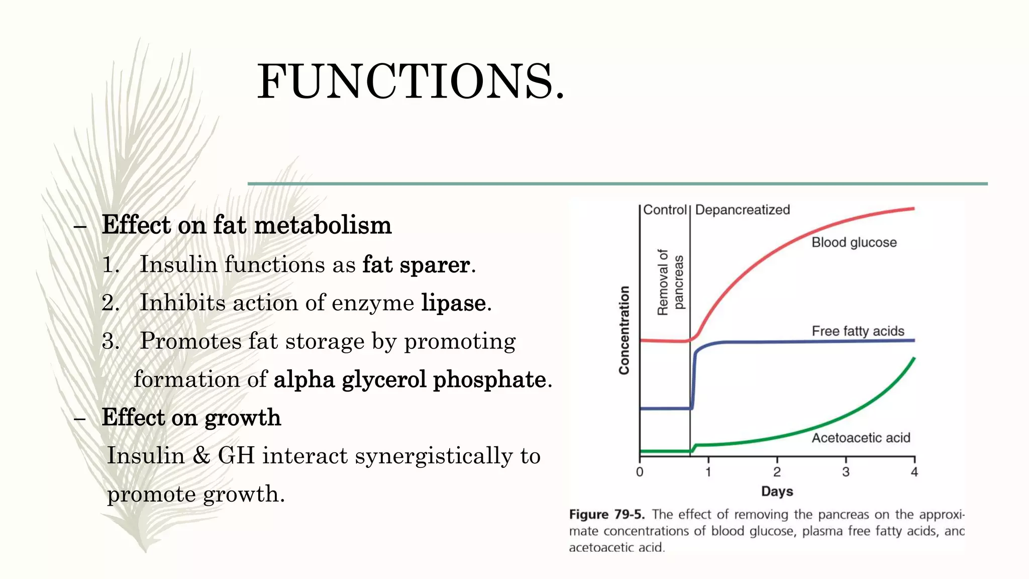 Insulin and its mechanism of action. | PPTX
