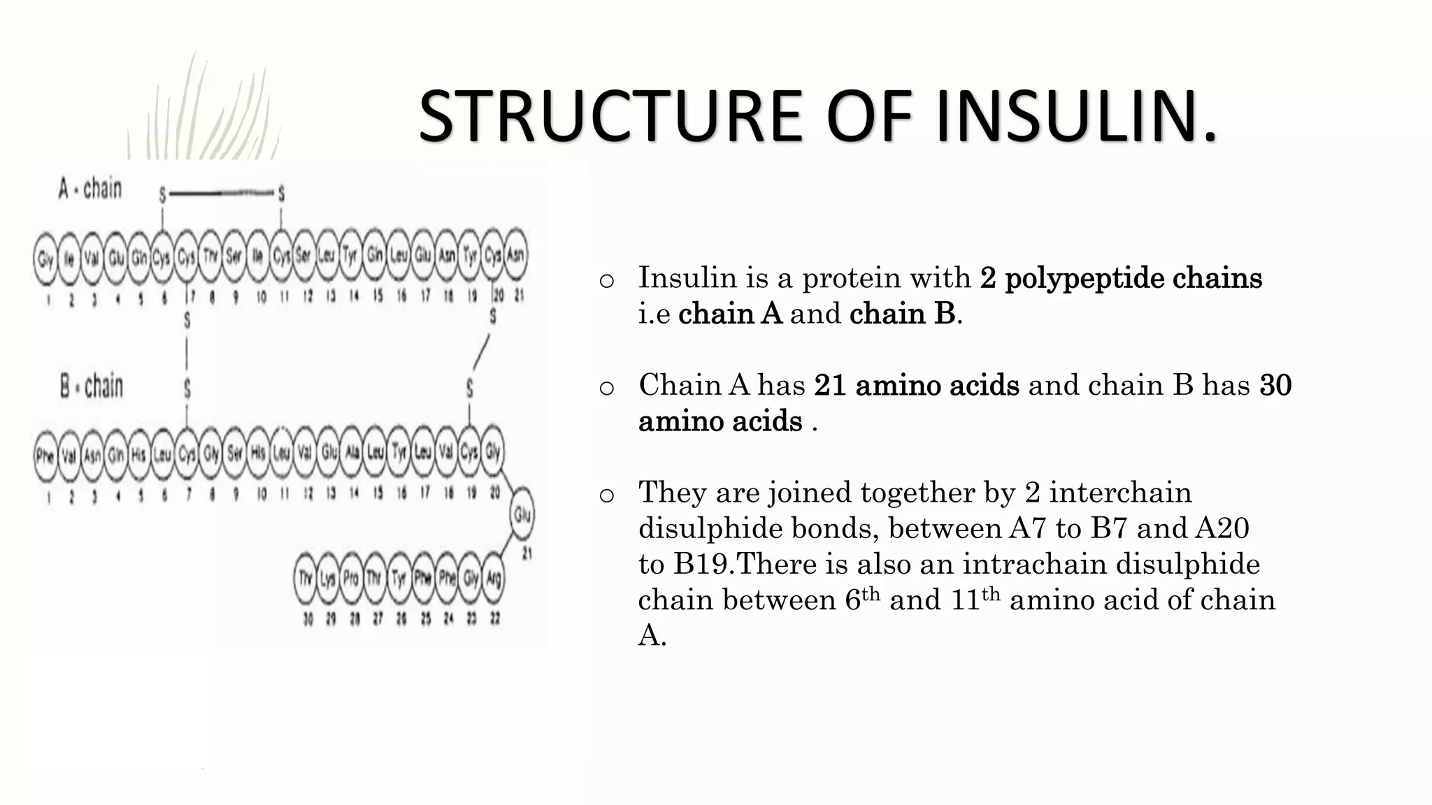 Insulin and its mechanism of action. | PPTX | Endocrine and Metabolic ...