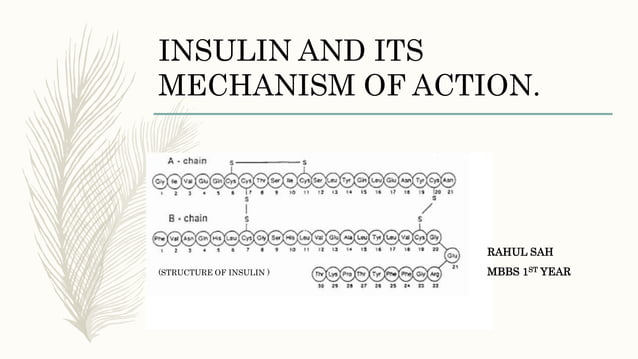 Insulin and its mechanism of action. | PPT