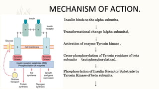 Insulin and its mechanism of action. | PPTX