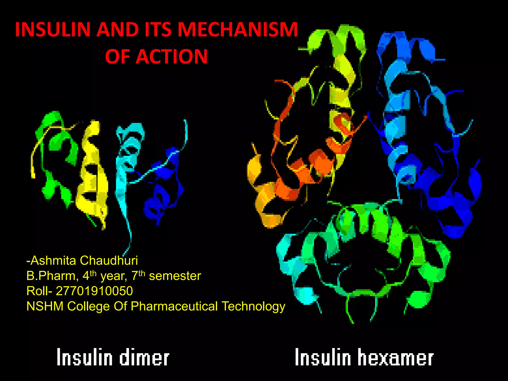 Insulin and its mechanism of action | PPTX