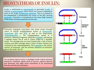 Insulin and its mechanism of action | PPT