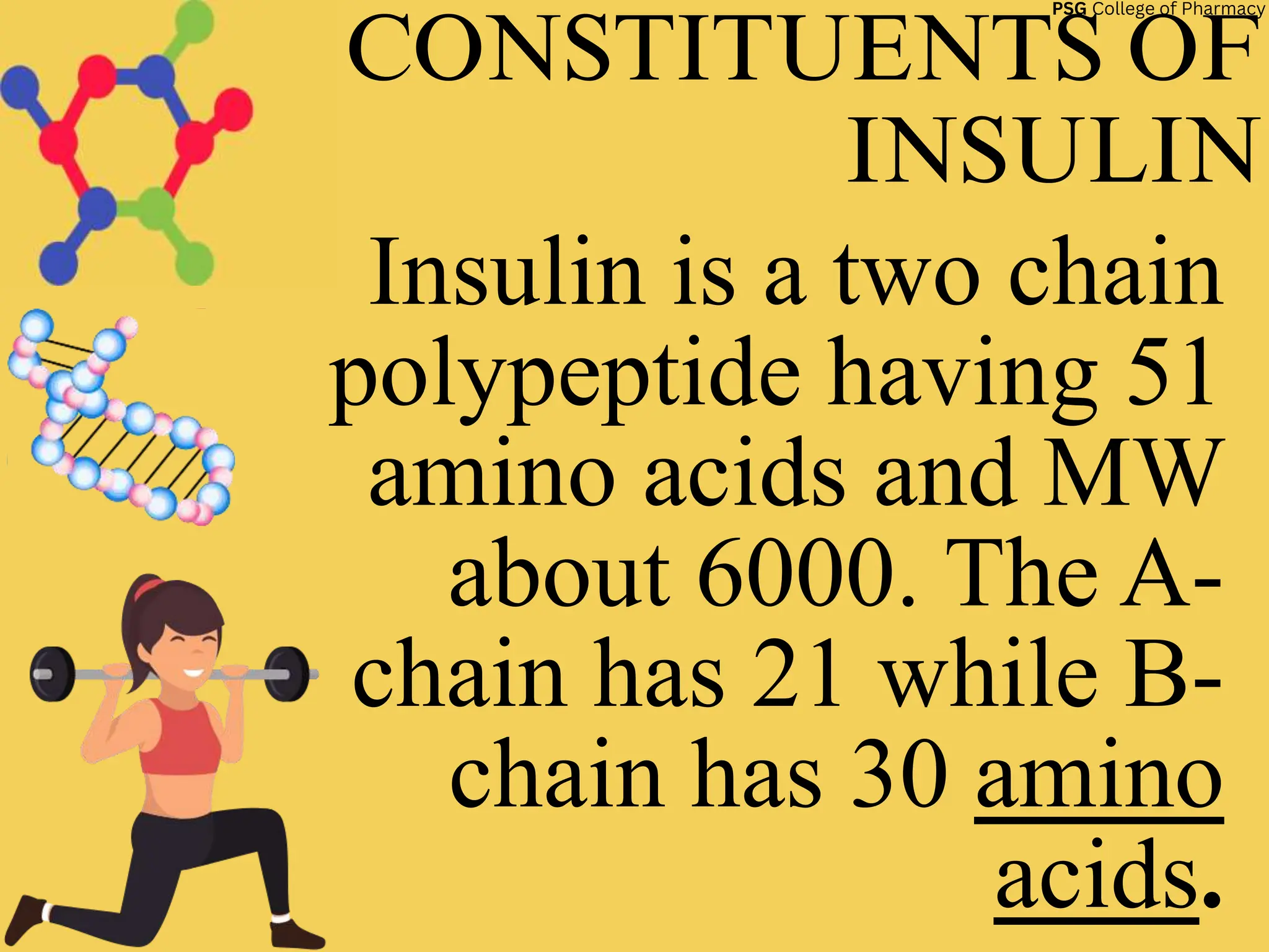 Insulin and its Preperation Medicinal Chemistry 2.pptx