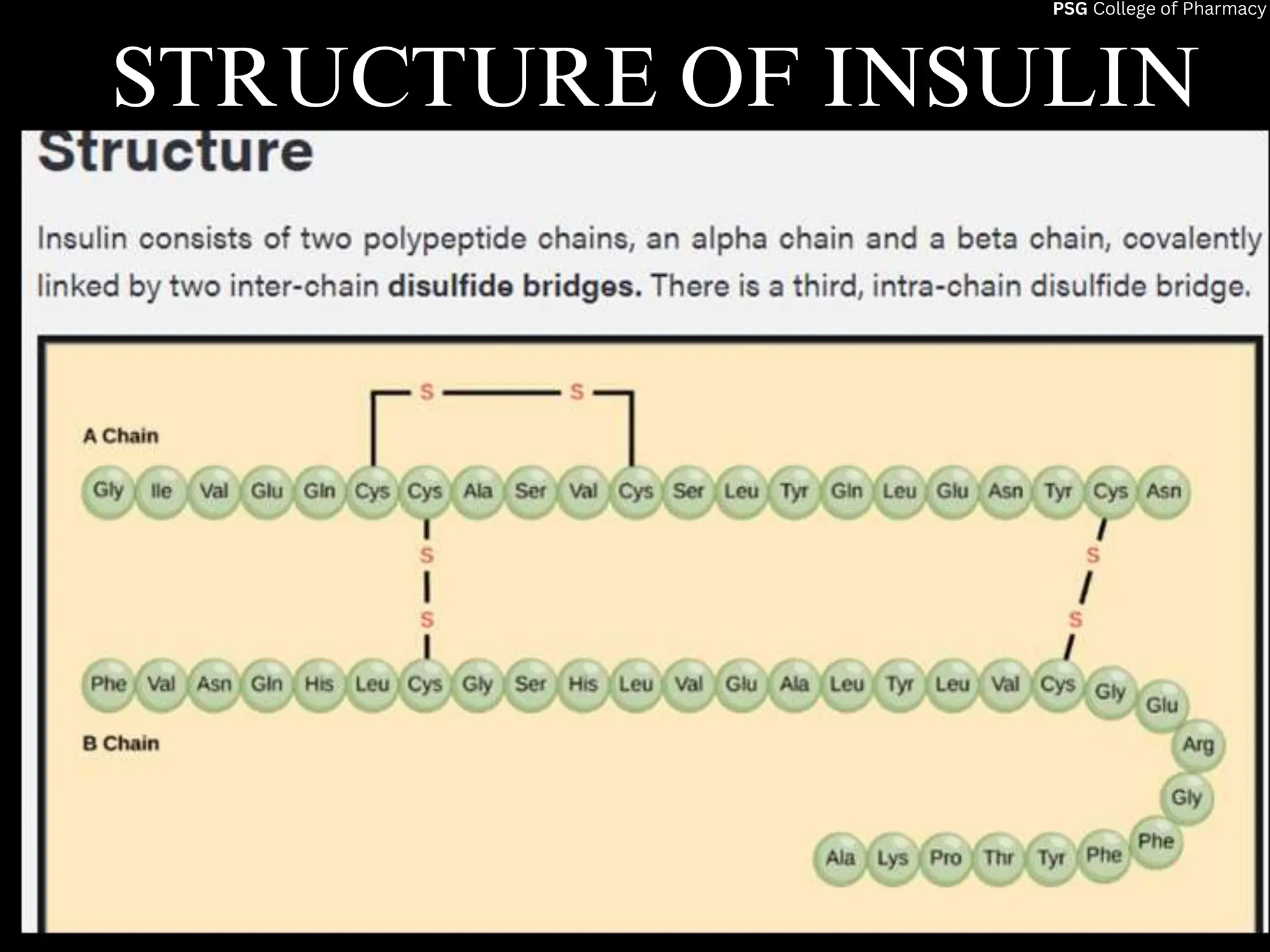 Insulin and its Preperation Medicinal Chemistry 2.pptx