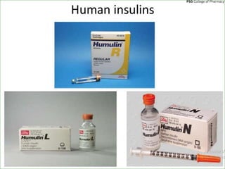 Insulin and its Preperation Medicinal Chemistry 2.pptx