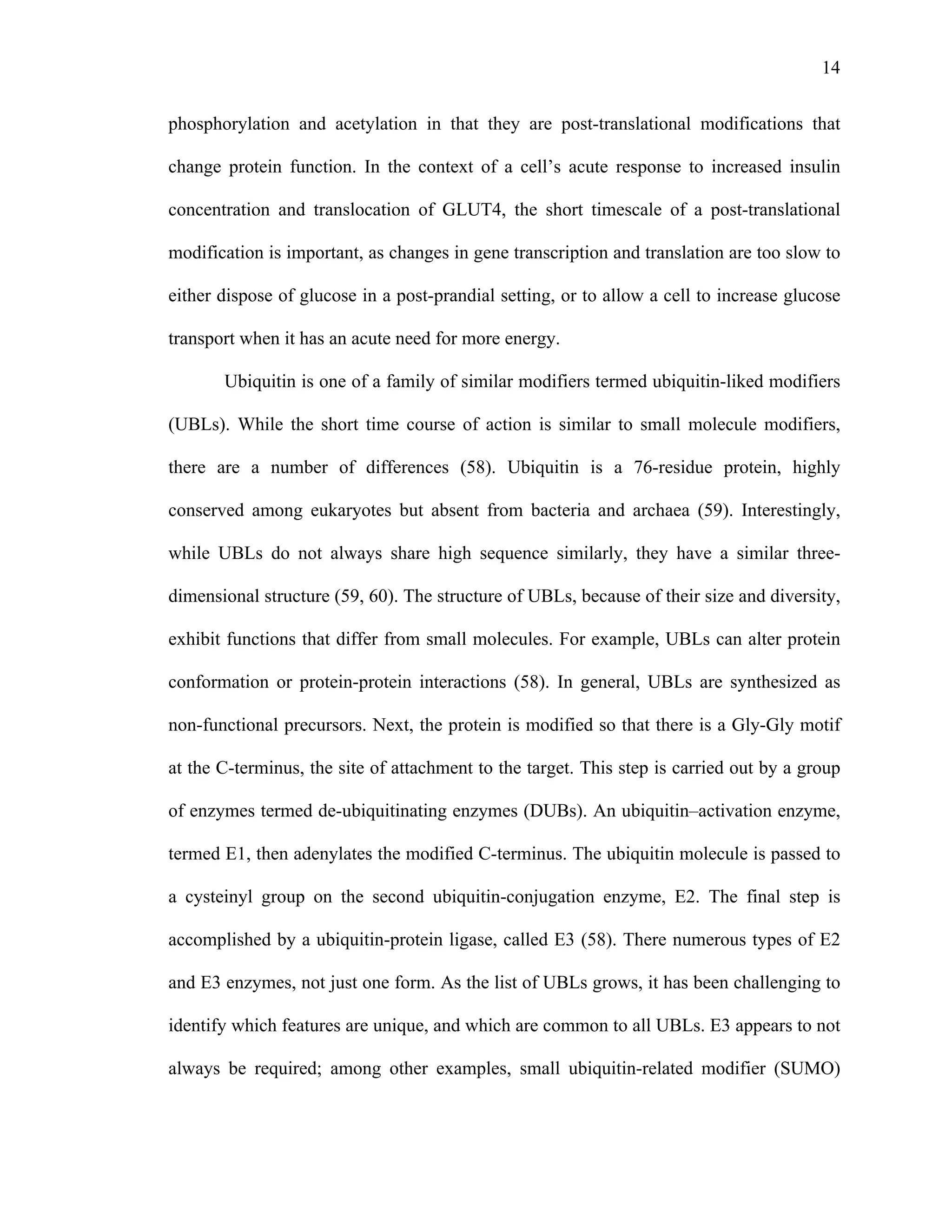 Insulin and non insulin dependent glut4 trafficking regulation by the ...