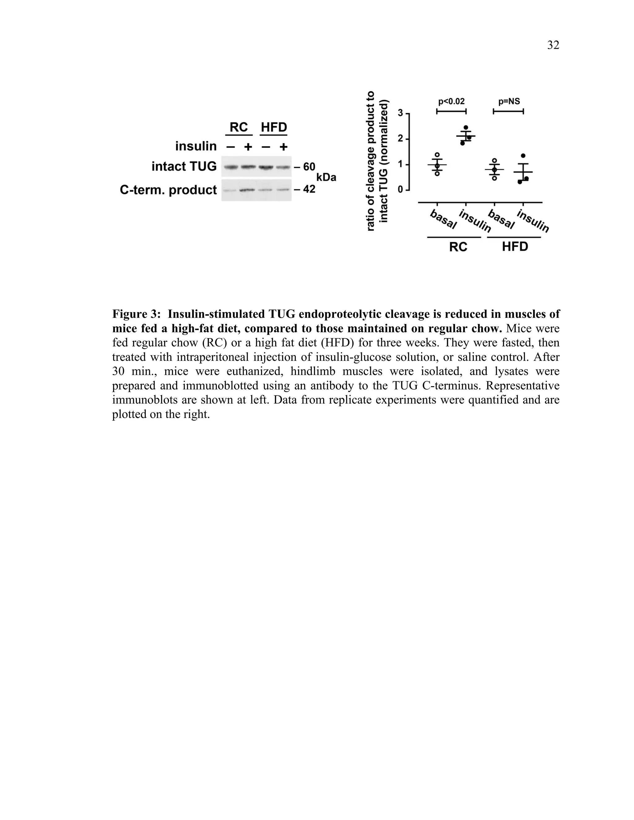 Insulin and non insulin dependent glut4 trafficking regulation by the ...