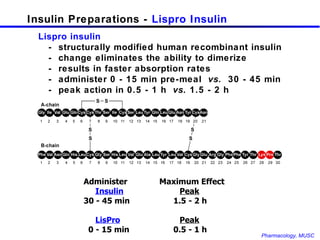 Insulin+and+Oral | PPT
