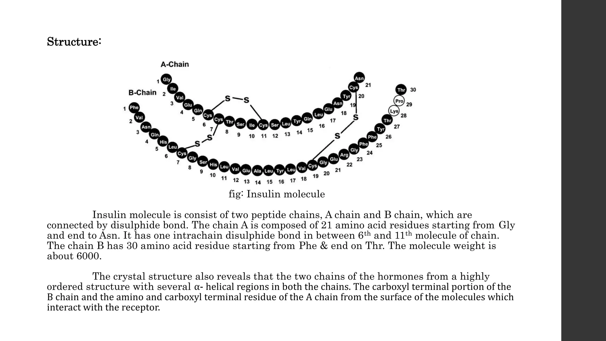 An introduction to Insulin | PPTX