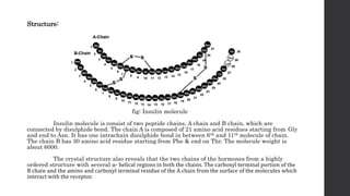 An introduction to Insulin | PPTX