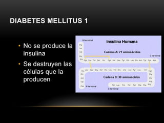 Insulina para principiantes y demás | PPTX