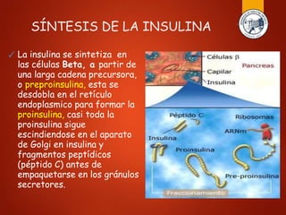 insulinas.pptx