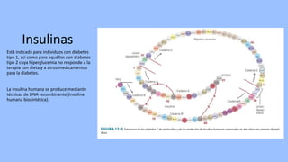 Insulinas. Diabetes mellitus. UNACH. 2024 | PDF
