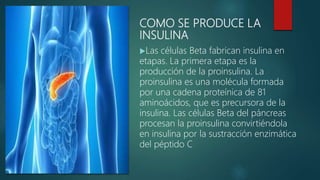 Insulina y glucagon | PPTX