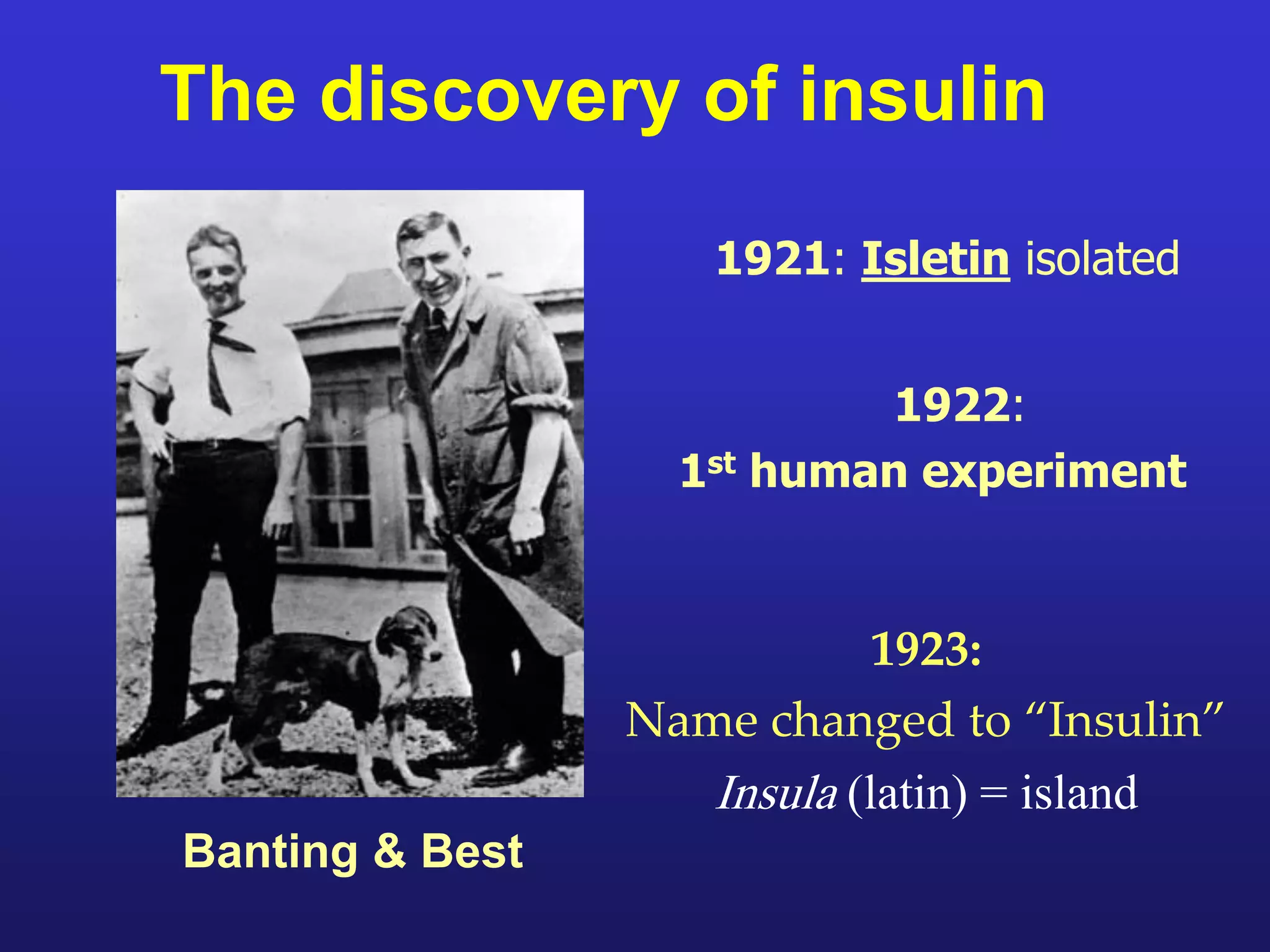 Insulin basics.p | PDF