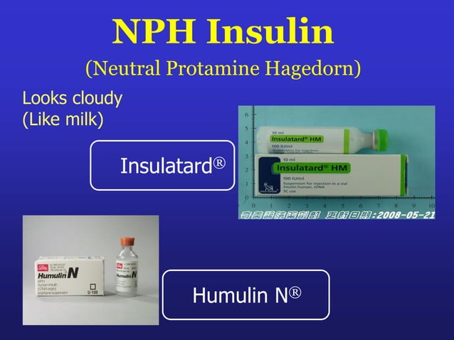 Insulin basics.p | PDF | Endocrine and Metabolic Diseases | Diseases ...