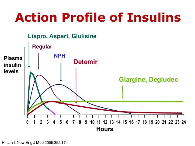 Insulin basics.p