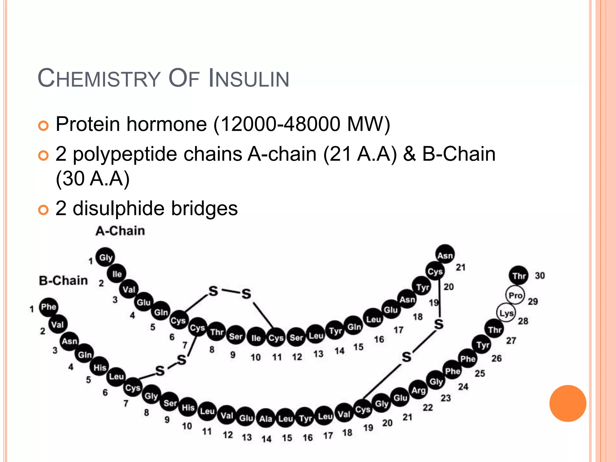 biochemistry of Insulin and diabetes | PPTX