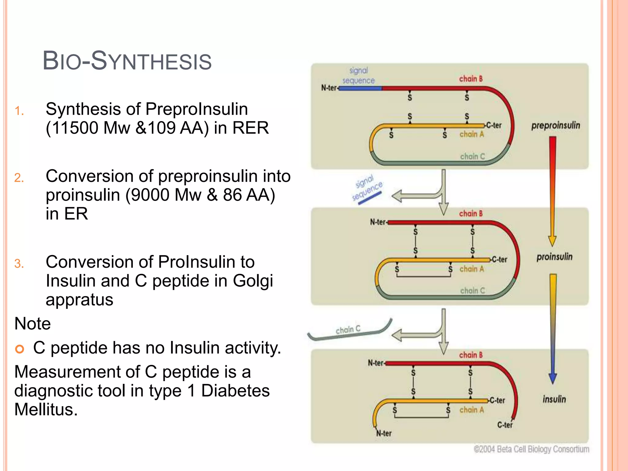 biochemistry of Insulin and diabetes | PPTX
