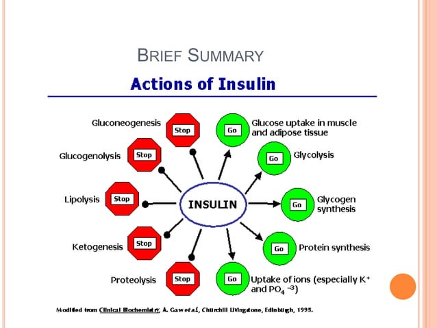 biochemistry of Insulin and diabetes | PPTX | Endocrine and Metabolic ...