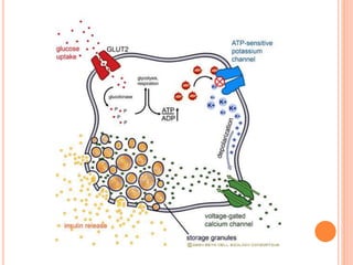biochemistry of Insulin and diabetes | PPTX