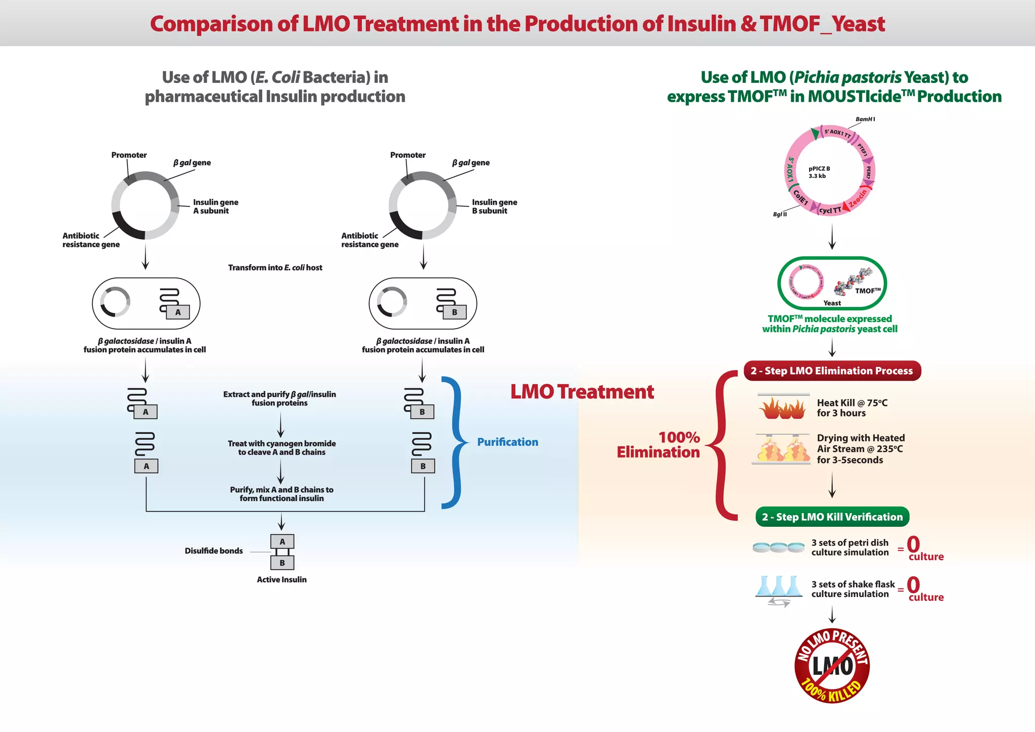Insulin & TMOF_Yeast Comparison | PDF