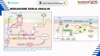 INSULIN DALAM PENGOBATAN DIABETES MELITUS | PPTX
