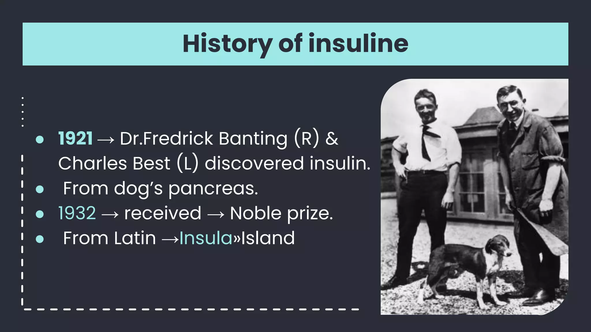 Pancreatic Hormone Insuline | PPTX