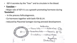 Insulin family (IGF-I & IGF-II )Girja Pd. Patel | PPTX