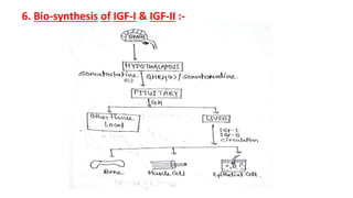 Insulin family (IGF-I & IGF-II )Girja Pd. Patel | PPTX