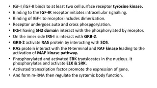 Insulin family (IGF-I & IGF-II )Girja Pd. Patel | PPTX
