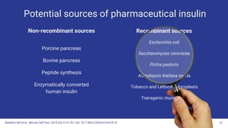 Recombinant Human Insulin : Manufacture & Quality Control | PDF