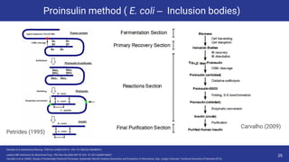 Recombinant Human Insulin : Manufacture & Quality Control | PDF
