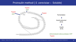 Recombinant Human Insulin : Manufacture & Quality Control | PDF