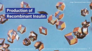 Recombinant Human Insulin : Manufacture & Quality Control | PDF